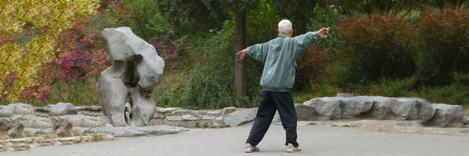 What are the Taiji Shibashi Qigong? - Pro Holistic